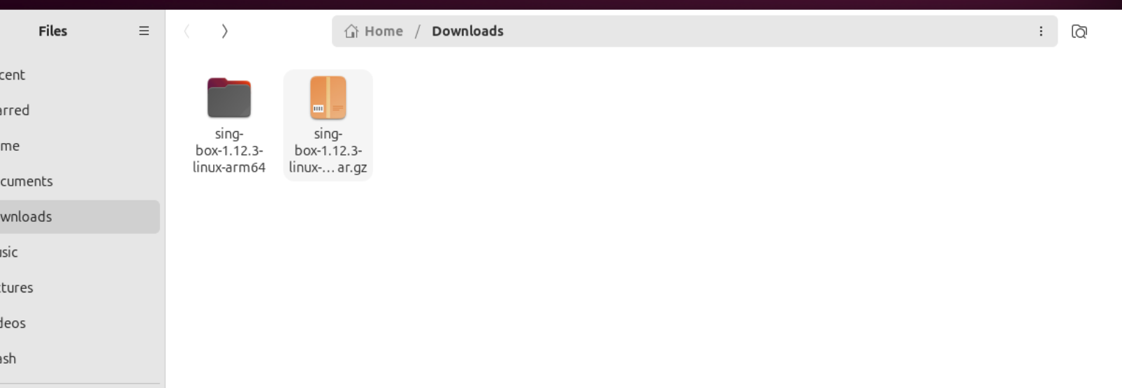 教程：在 Linux/Ubuntu 上安装和使用 sing-box | sing-box 文章中心